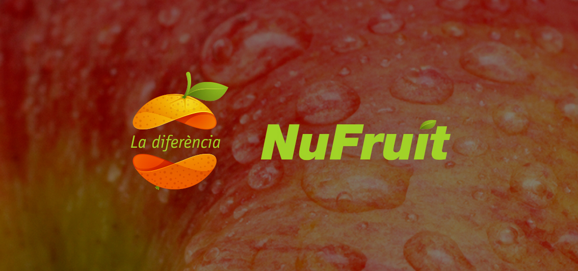 NUFRUIT | Iglésies. Creativitat Activa